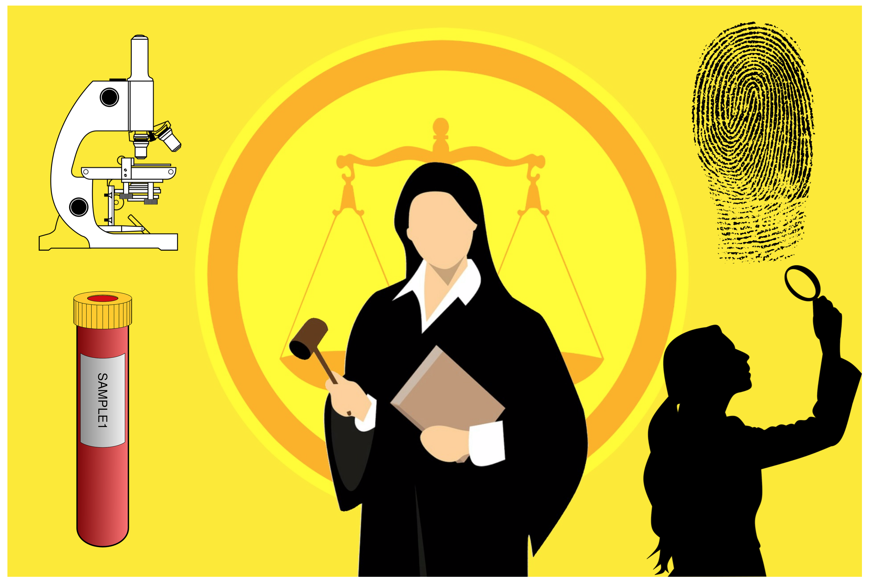 Court TV: science in the media – Science-Education-Research
