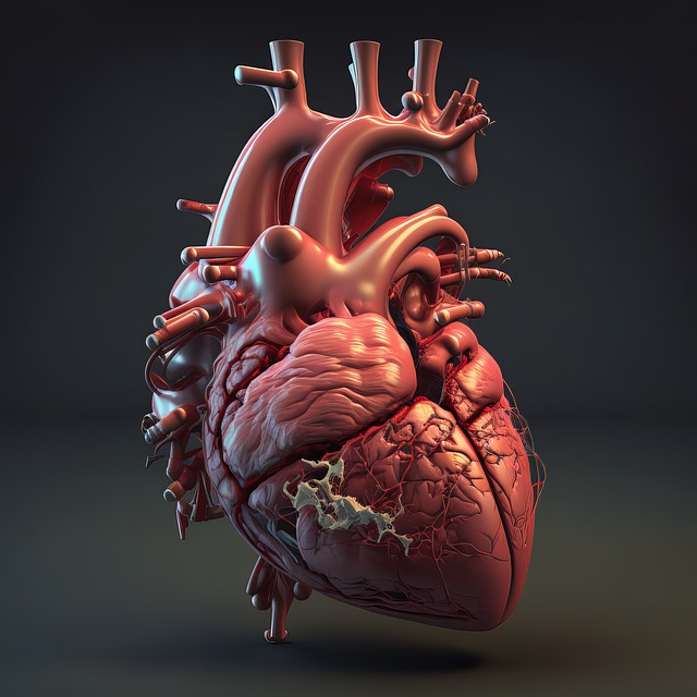 Is your heart in the research? – Science-Education-Research