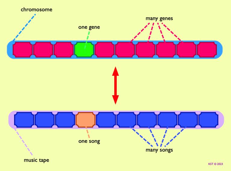 Science analogies - Science-Education-Research