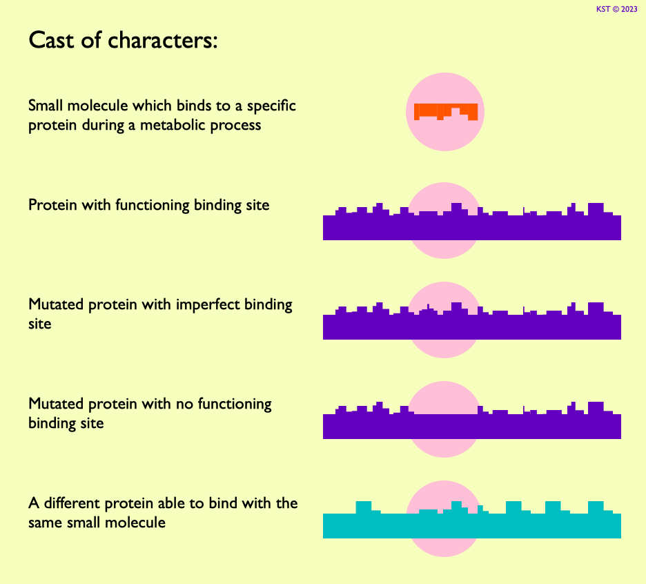 Learning from one’s own teaching analogy – Science-Education-Research