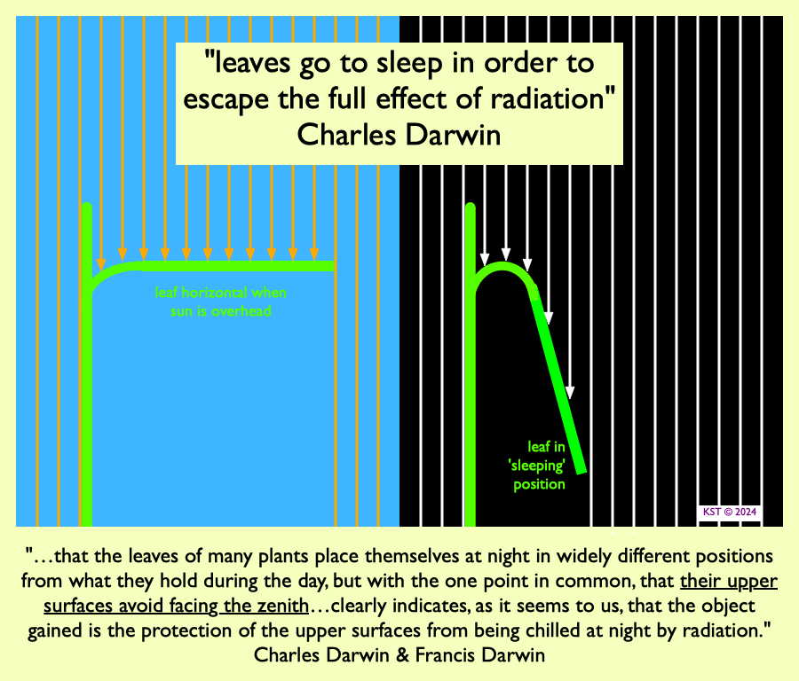 Was Darwin concerned about cold radiation from above? – Science ...