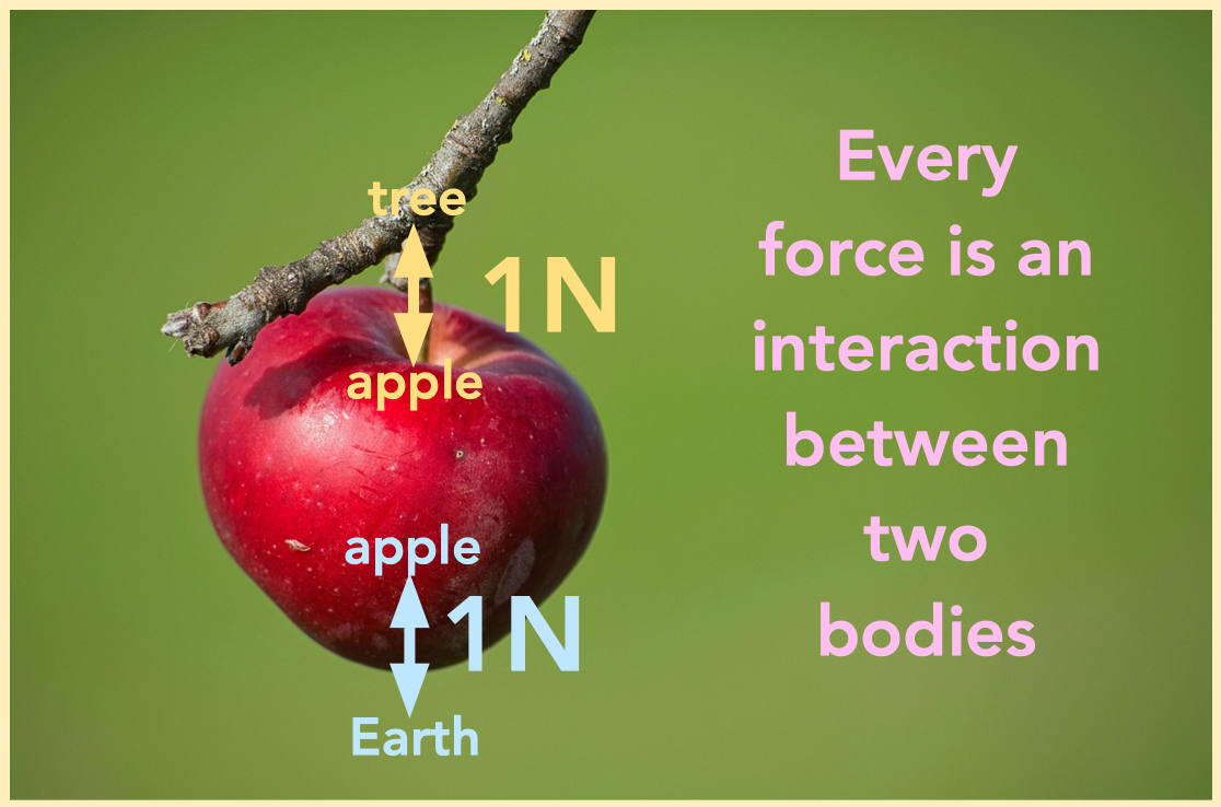apple-forces are interactions – Science-Education-Research